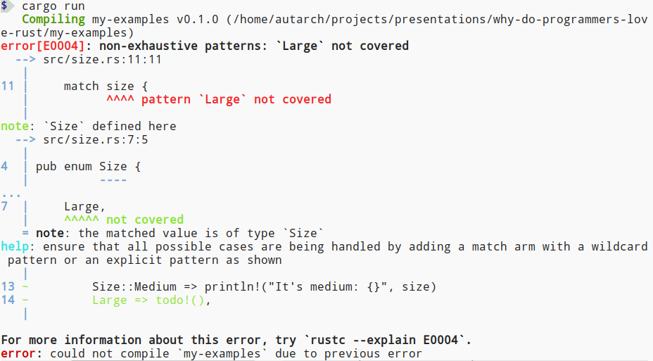 Why Do Programmers Love Rust?