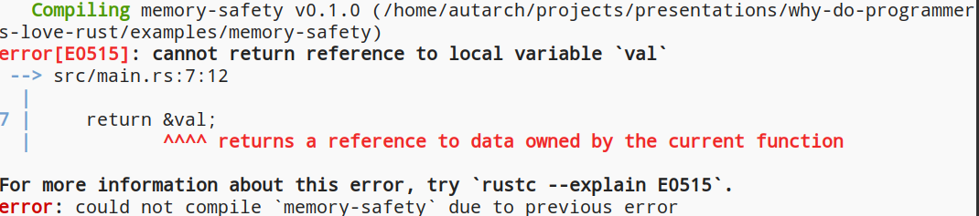 Why Do Programmers Love Rust?